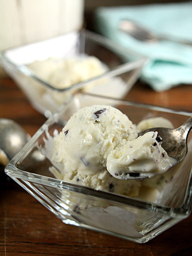 Chocolate Chunk Coconut Ice Cream - Creative Culinary